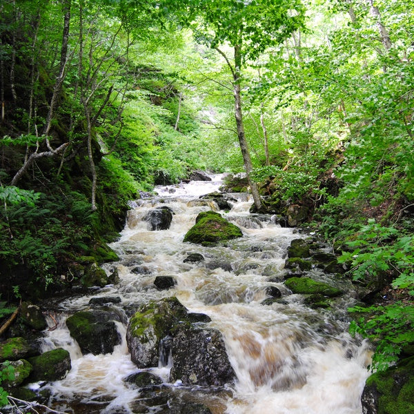 Water Quality – Verity Supply